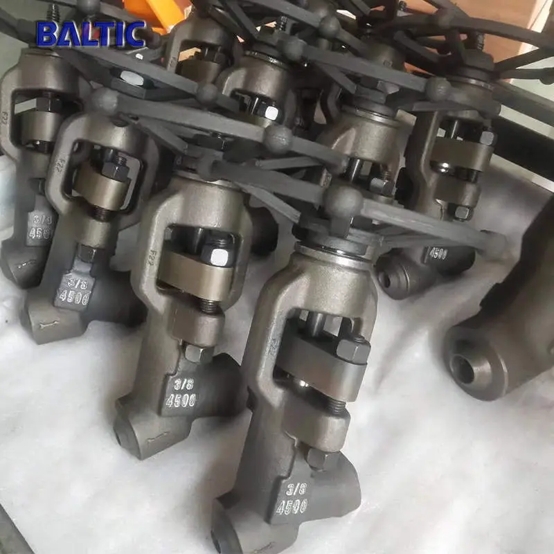 Extra High Pressure Y-type Globe Valves - Baltic