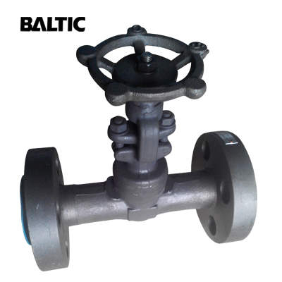 ASTM A105N Gate Valve, Extension Stem, API 602, 1IN, 150LB, RF - Baltic