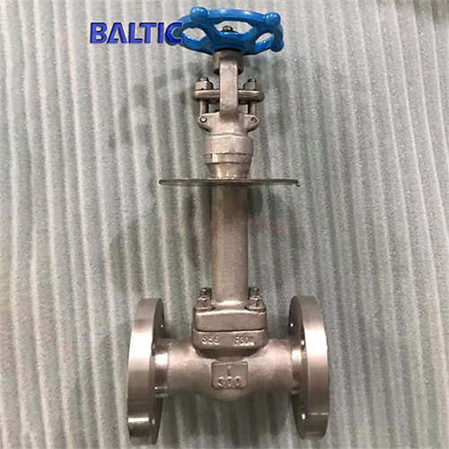 BW Cryogenic Gate Valve, API 600, SS,10 Inch, Class 150 LB - Baltic