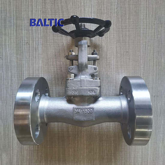 ASTM A105N Forged Gate Valve, 1 Inch, 300 LB, Integral Flanged End - Baltic