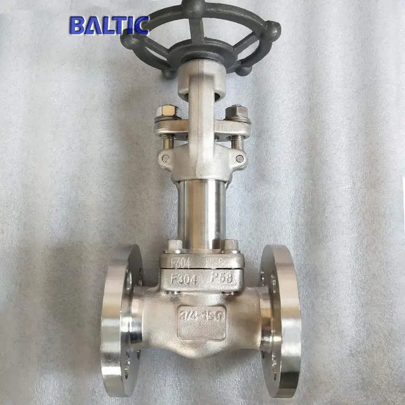 API 602 Extended Stem Gate Valve, A182 F304, 3/4IN, CL150 - Baltic