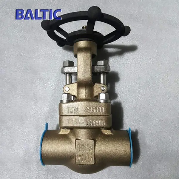 DN25 PN16 Gate Valve, ASTM B148 C95800, API 602, NPT - Baltic