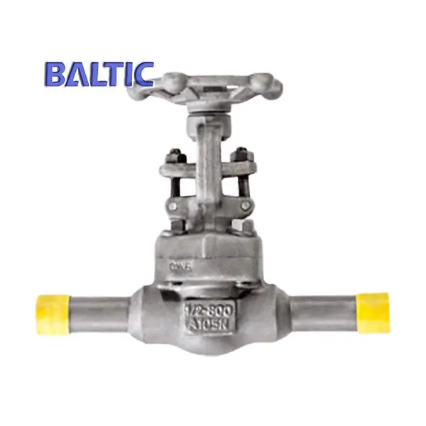 1/2 Inch Gate Valve, ASTM A105N, Class 800 LB, API 602, BW - Baltic