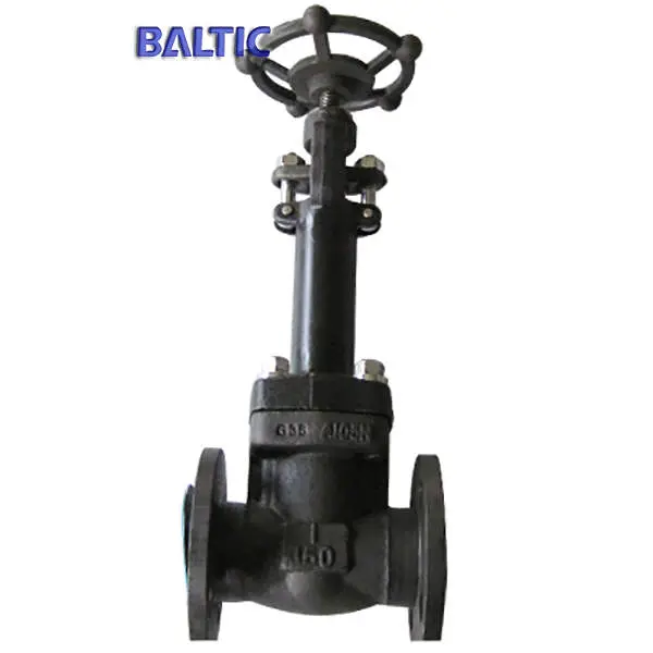 ASTM A105N Gate Valve, Extension Stem, API 602, 1IN, 150LB, RF - Baltic