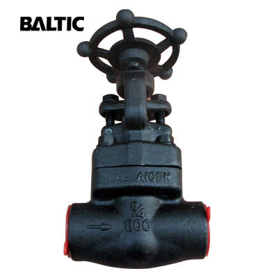 API 602 Full Bore Globe Valve, 3/4 Inch, 800 LB, NPT X SW - Baltic