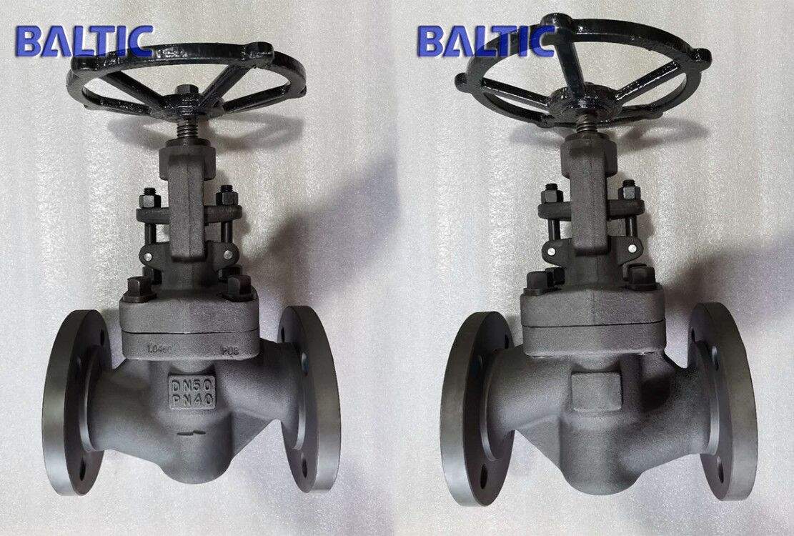 DN50 PN40 Globe Valve, Full Bore, 1.4308, EN 13709, RF - Baltic