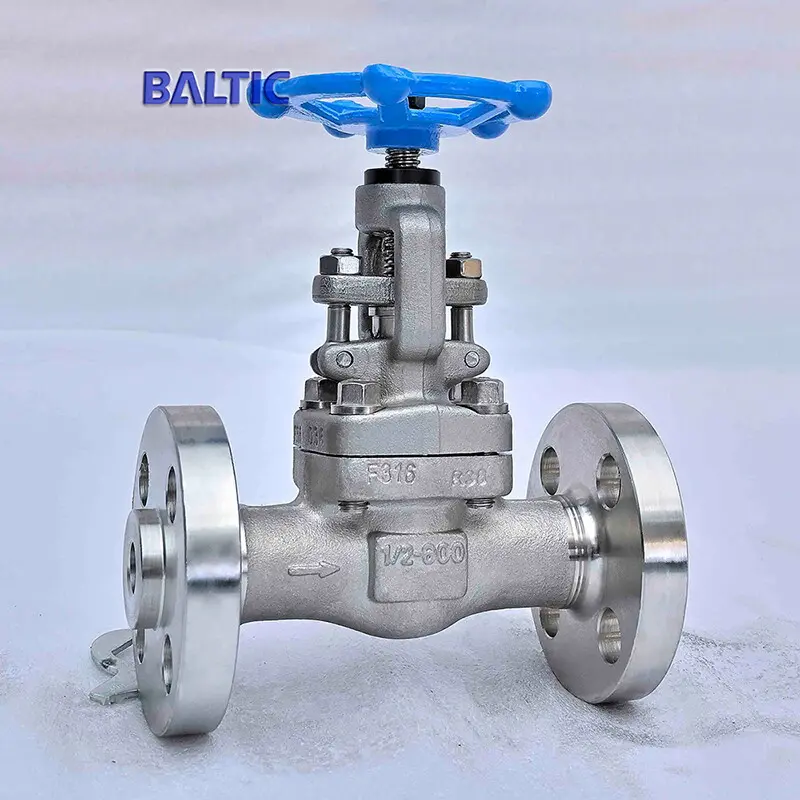 API 602 Globe Valve, 1/2 Inch, 600 LB, ASTM A182 F316, RF - Baltic