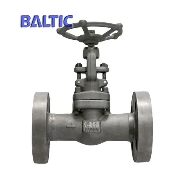 API 602 Forged Steel Globe Valve, ASTM A105N, 1 Inch, 900 LB, RF - Baltic