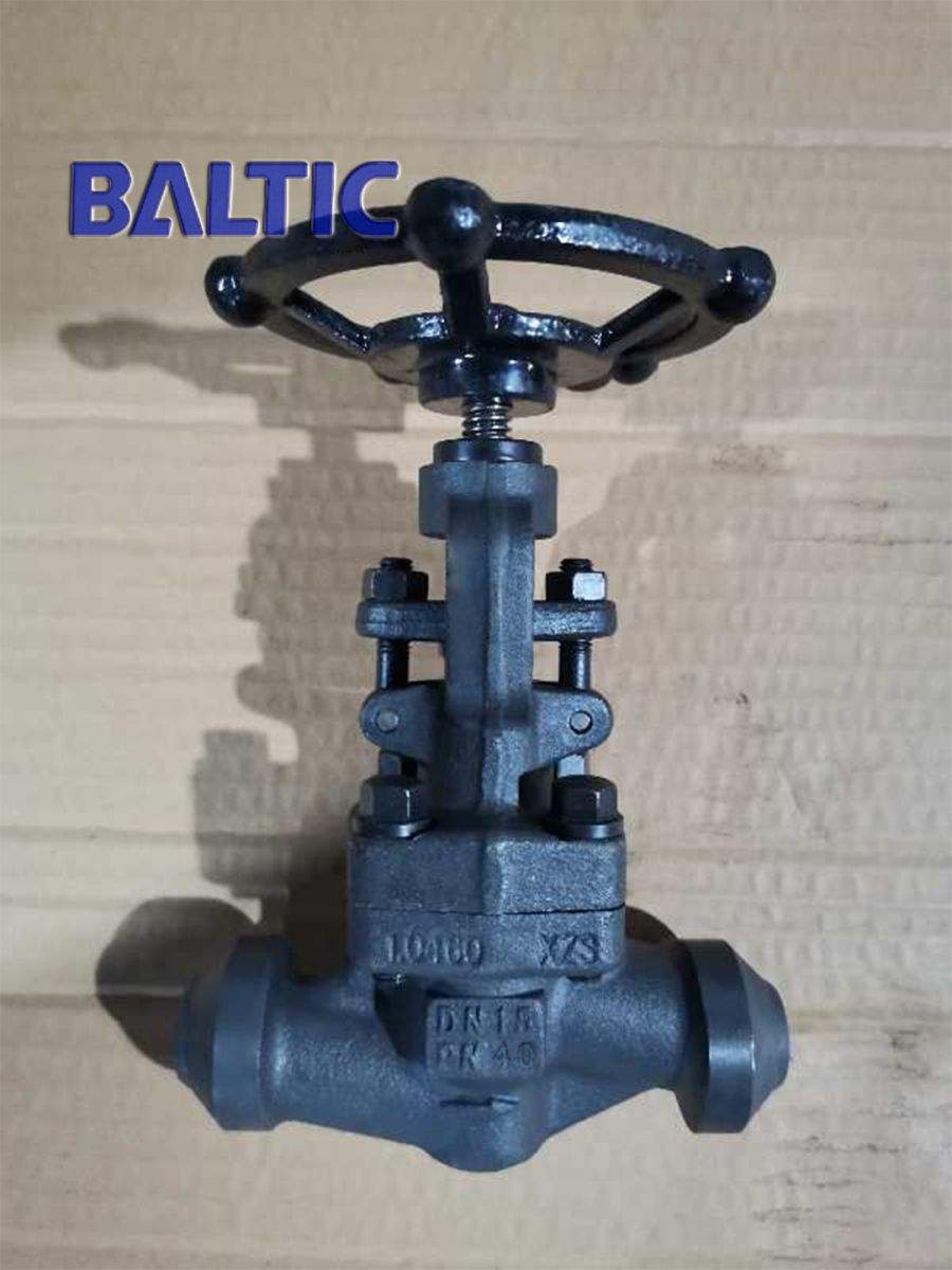 Forged Carbon Steel Globe Valve, ASTM A105N, DN40 PN40, BW, API 602 - Baltic Valve Company