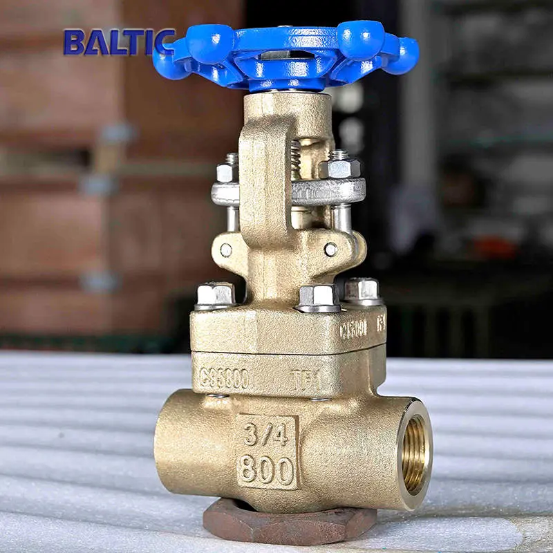 3/4 Inch 800 LB Gate Valve, ASTM B148 C95800, API 602, NPT - Baltic