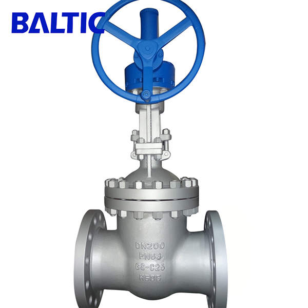 Wedge Gate Valve with Bypass Valve, ASTM A217 WC6, DN200, PN100 ...