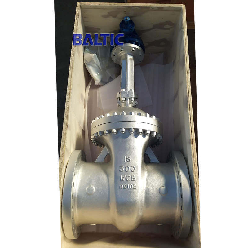 16 Inch 300 LB Gate Valve, ASTM A216 WCB, API 600, RF - Baltic
