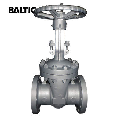 API 600 Wedge Gate Valve, ASTM A216 WCB, 10 Inch, 150LB, RF X RF - Baltic Valve Company