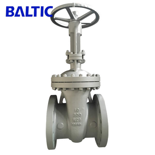 ASTM A217 C5 Gate Valve for Steam Pipeline, 16 Inch, Class 300, RF - Baltic