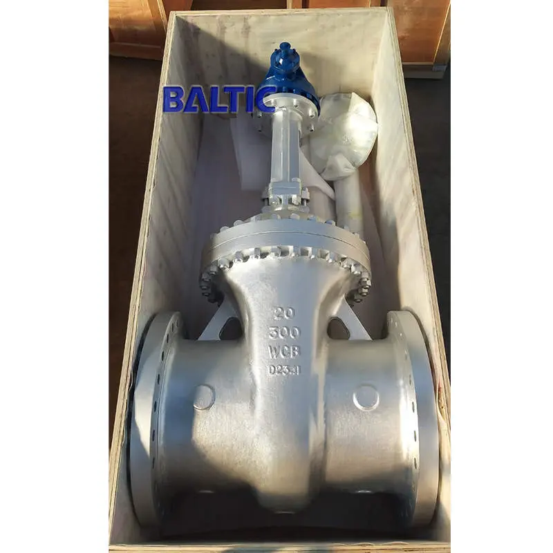 20 Inch CL300 Gate Valve, ASTM A216 WCB, API 600, RF - Baltic