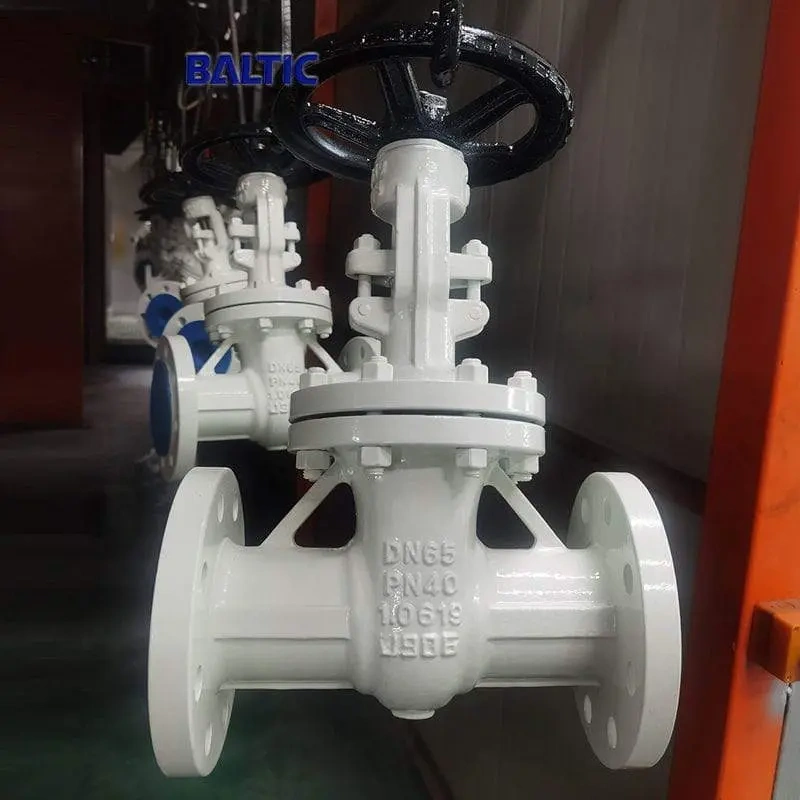 1.0619 Wedge Gate Valve, DN65, PN40, EN 1984, DIN 3352, RF - Baltic