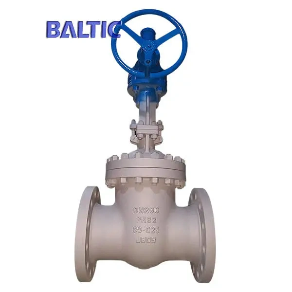 1.0619 Flexible Wedge Gate Valve, GS-C25, DN200, PN63, RF, DIN 3352 ...