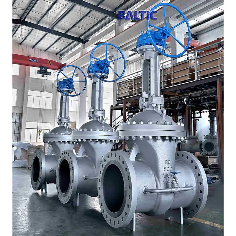 20 Inch Gate Valve with Bypass Valve, 300 LB, A216 WCB, RF - Baltic