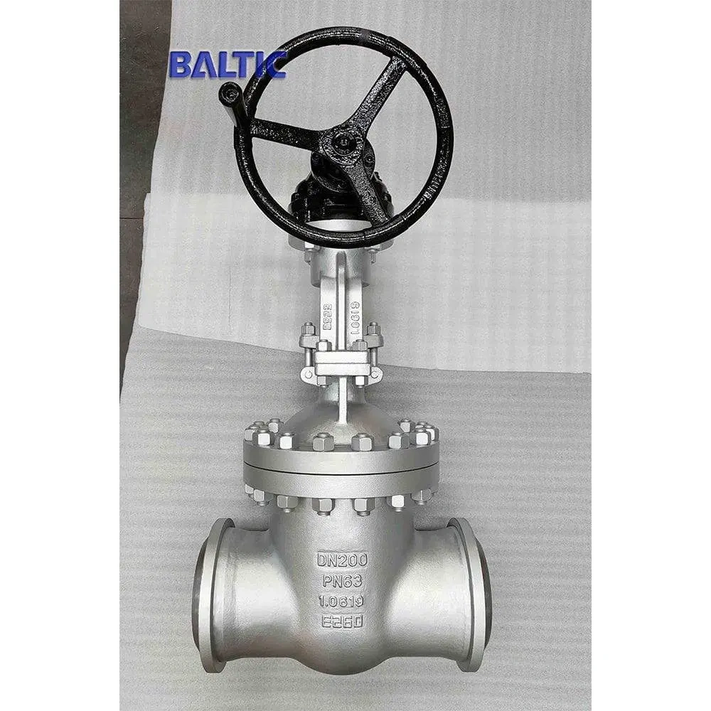 1.0619 Gate Valve, DN200, PN63, EN 1984, DIN 3352, BW - Baltic