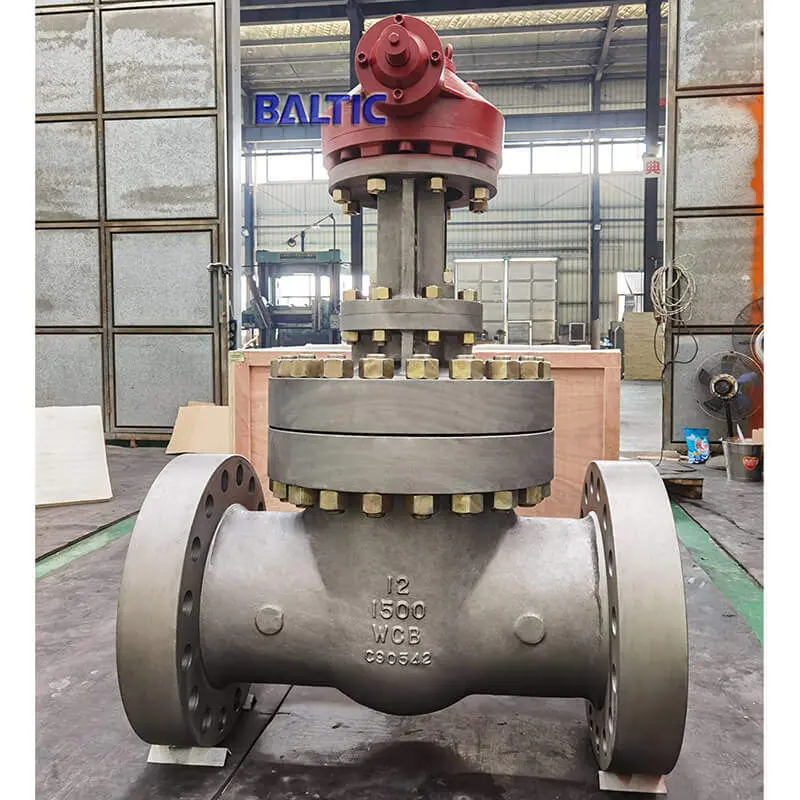 Class 1500 LB Gate Valve, Flexible Wedge, 12 Inch, A216 WCB - Baltic