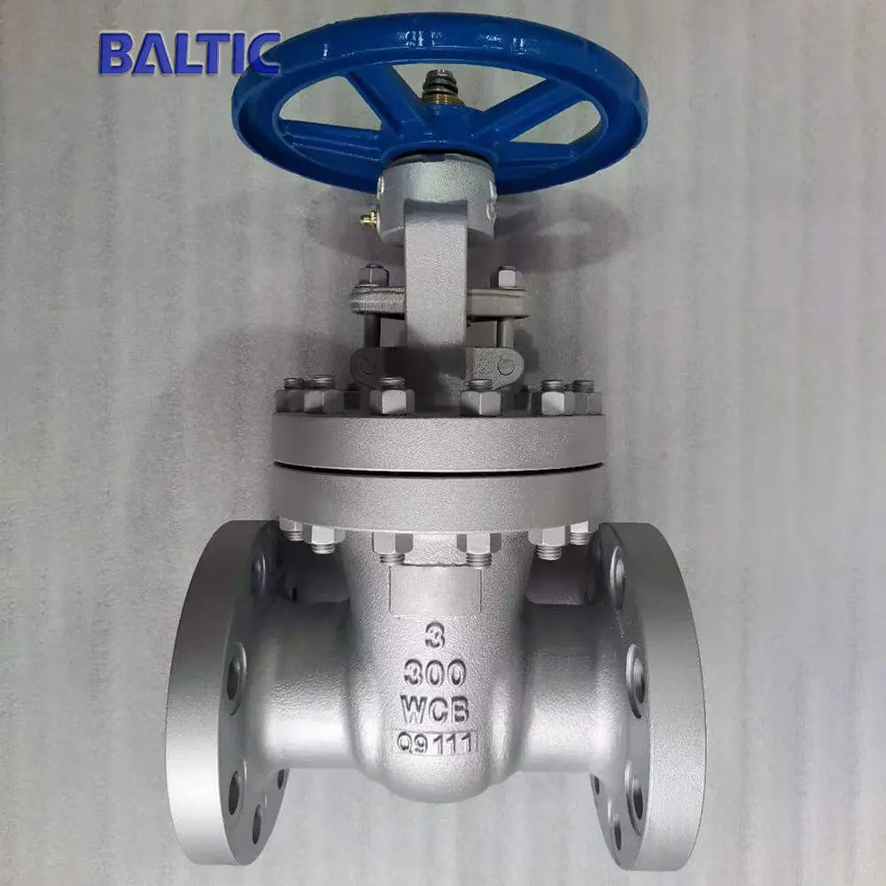 3 Inch Gate Valve, Flexible Wedge, 300 LB, WCB, API 600 - Baltic