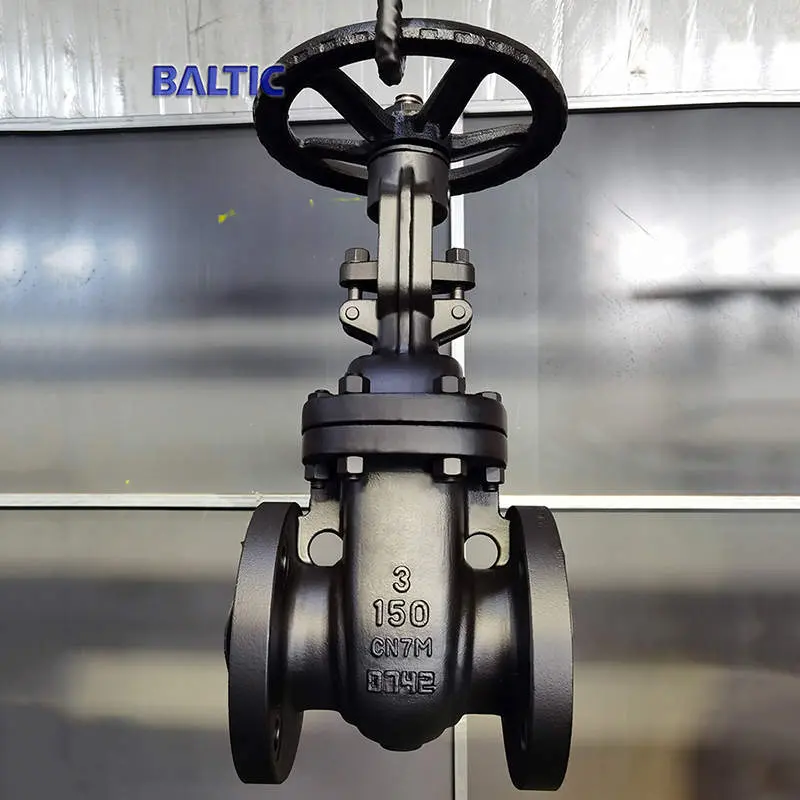 ASTM A351 CN7M Gate Valve, 3 Inch, API 600, 150 LB, RF - Baltic
