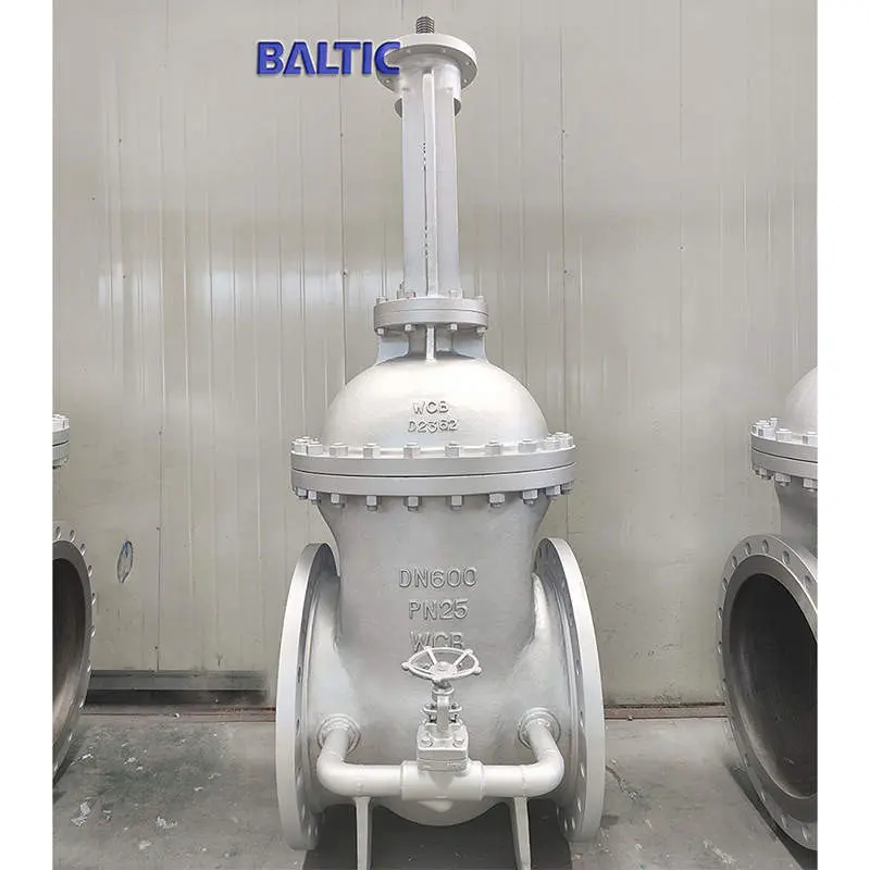 DN600 Wedge Gate Valve, PN25, WCB, EN 1984, DIN 3352, RF - Baltic
