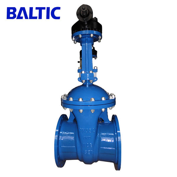 WCB Flexible Wedge Gate Valve with Flanged End, DN350, PN10 - Baltic