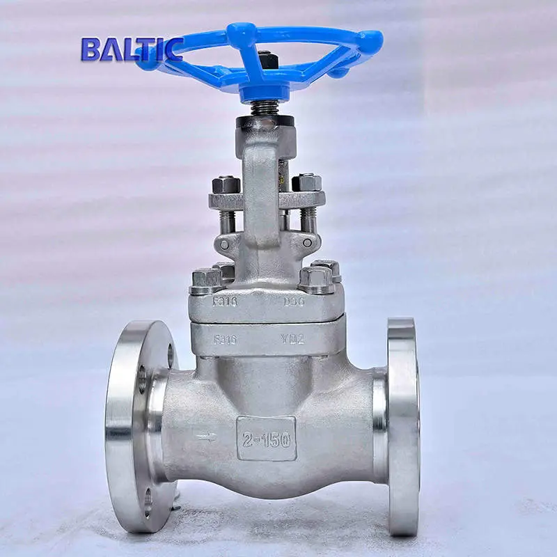 2 Inch 150 LB Globe Valve, API 602, RF, ASTM A182 F316 - Baltic