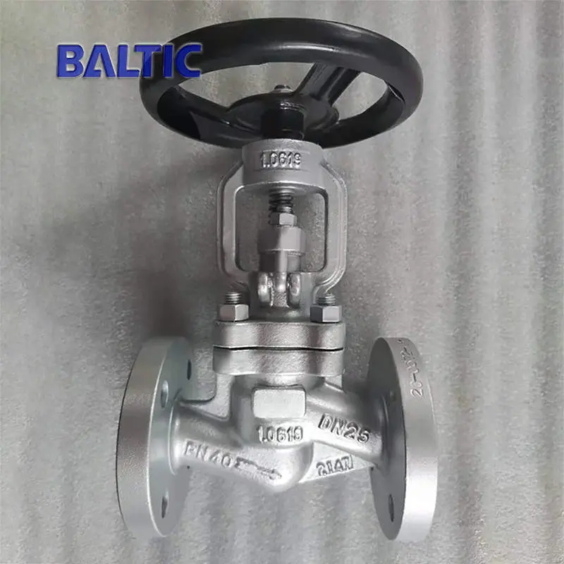 S-type Globe Valve, DN25, PN40, Full Bore, RF Flanged Ends - Baltic