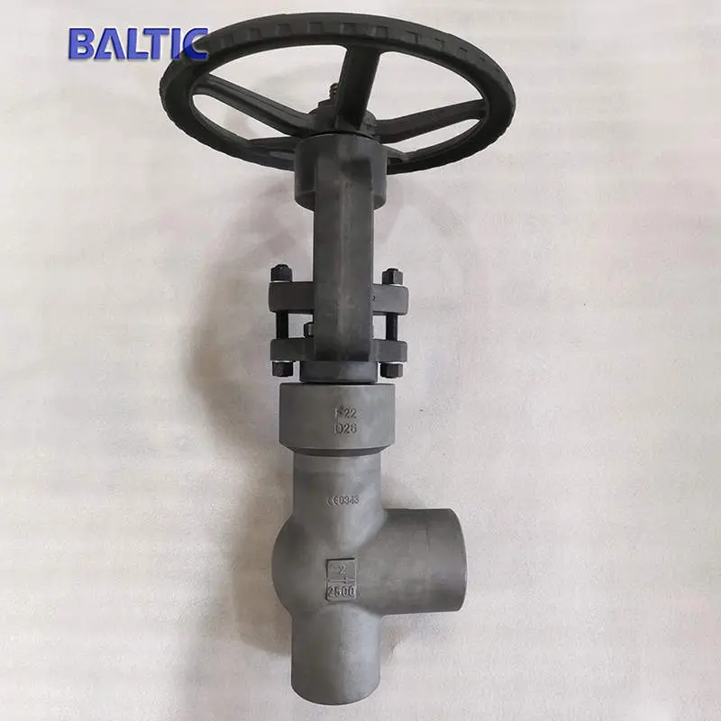ASTM A182 F22 Angle Globe Valve, EN ISO 15761, 2 Inch - Baltic