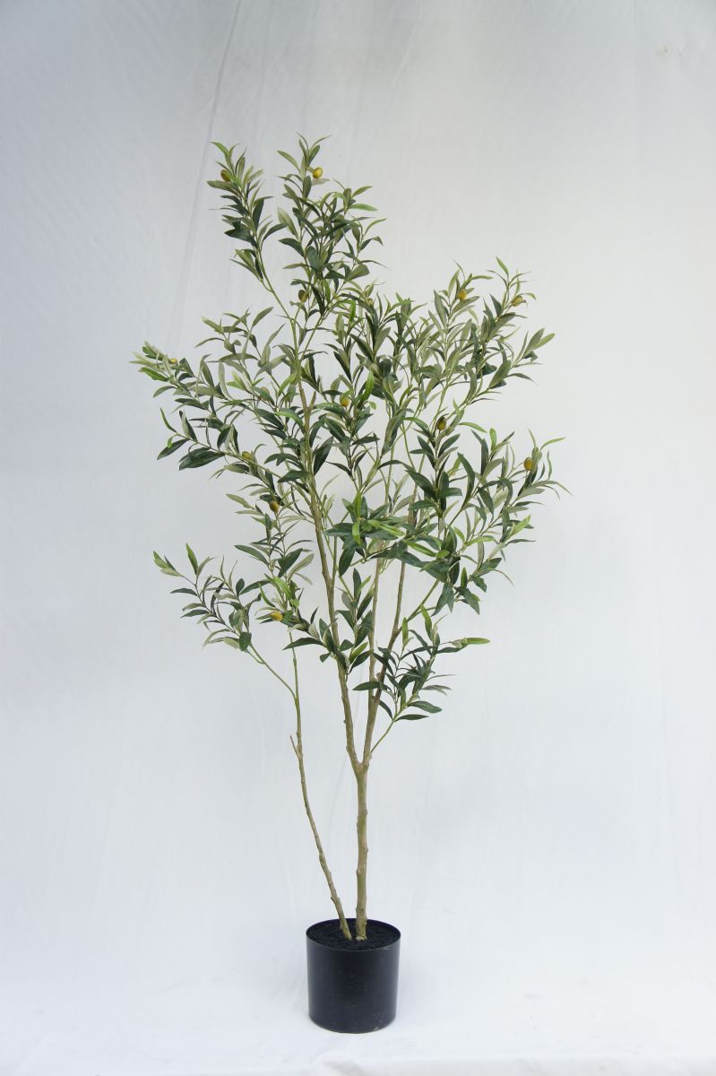Plastic Olive Tree Manufacturer in China - Sharetrade