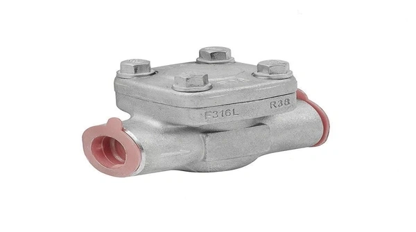 API 602 Check Valve, ASTM A182 F316L, 1 Inch, 800 LB, SW End | Weldon