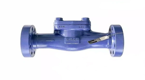 Piston Check Valve, ASTM A182 F316, 1 Inch, 300 LB, API 602 | Weldon