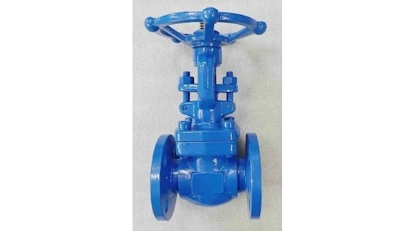 Applications of Valve Management Systems in Water Supply Pipes | Vervo