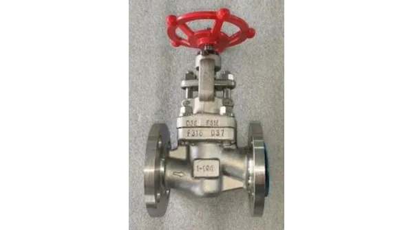 Problems and Solutions in Nuclear Power Valves | Vervo