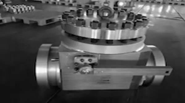 Development of a Hand-Operated Check Valve for Heavy Water Reactor ...
