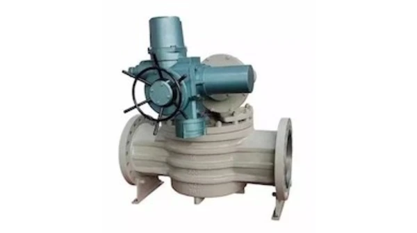 Structural Features of Double Shut-off Plug Valves | Vervo