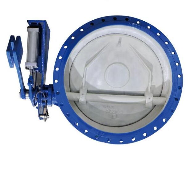 Pneumatic Slow Closing Check Valves, A216 WCB, DN250, PN10 | Vervo