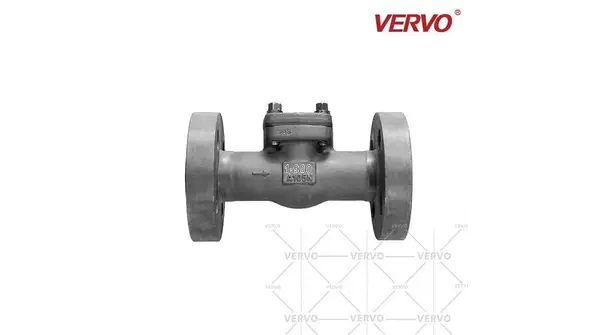 Vertical Swing Check Valve, A105N, 1 Inch, 900 LB, RTJ | Vervo