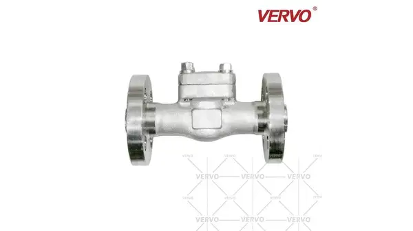 ASTM A182 F316L Swing Check Valve, 1/2 Inch, DN15, 600 LB | Vervo
