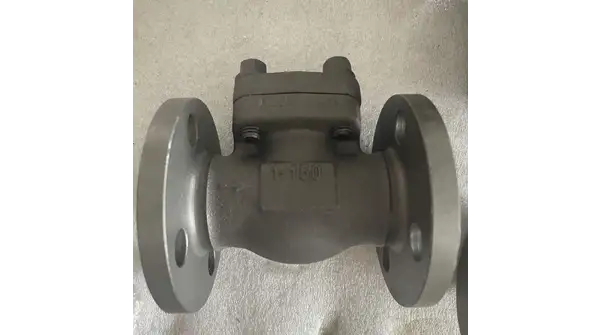 ASTM A105N Lift Check Valve, 1 Inch, 150 LB, API 602, RF | Vervo