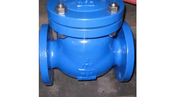 Bolted Bonnet Swing Check Valve, 2 Inch, 150 LB, A216 WCB | Vervo