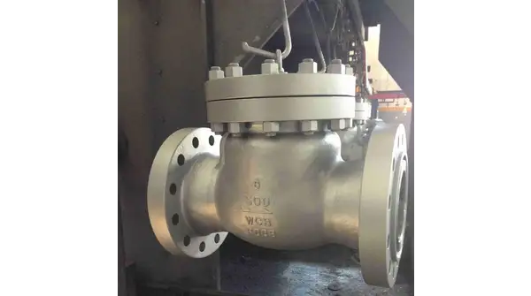 API 600 Swing Check Valve, 6 Inch, 600 LB, WCB, BS 1868 | Vervo