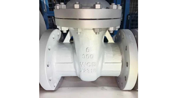 ASME B16.34 Swing Check Valves, A216 WCB, 6 IN, 300 LB, RF | Vervo