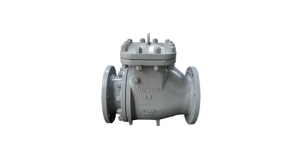 EN 1984 Check Valve, DN200, PN10, WCB, Integral Seat, RF | Vervo