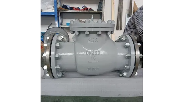 BS EN 13709 Swing Check Valves, 25Л, DN250, PN16 | Vervo