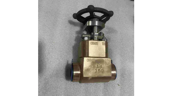 ASTM B62 C83600 Gate Valve, MSS SP-80, Bronze, 3/4 IN, CL150 | Vervo