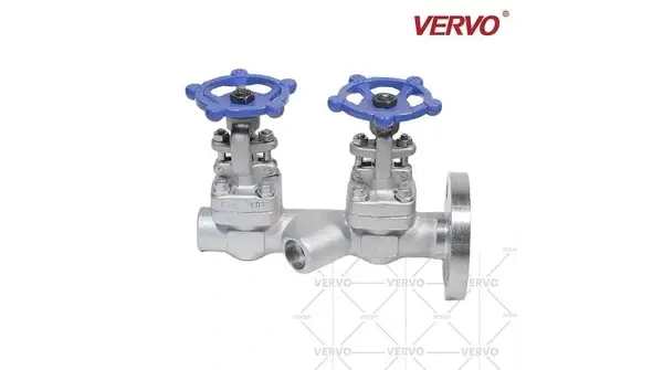 ASTM A182 F316 Double Gate Valve, BS 5352, 3 Inch, 300 LB | Vervo
