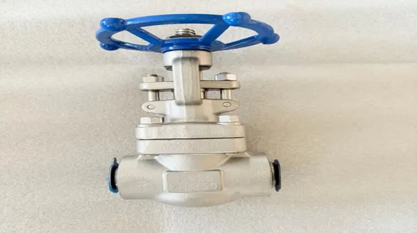 ISO 15761 Gate Valves, 08X18H10T, DN25, PN250, OS&Y, BW Ends | Vervo